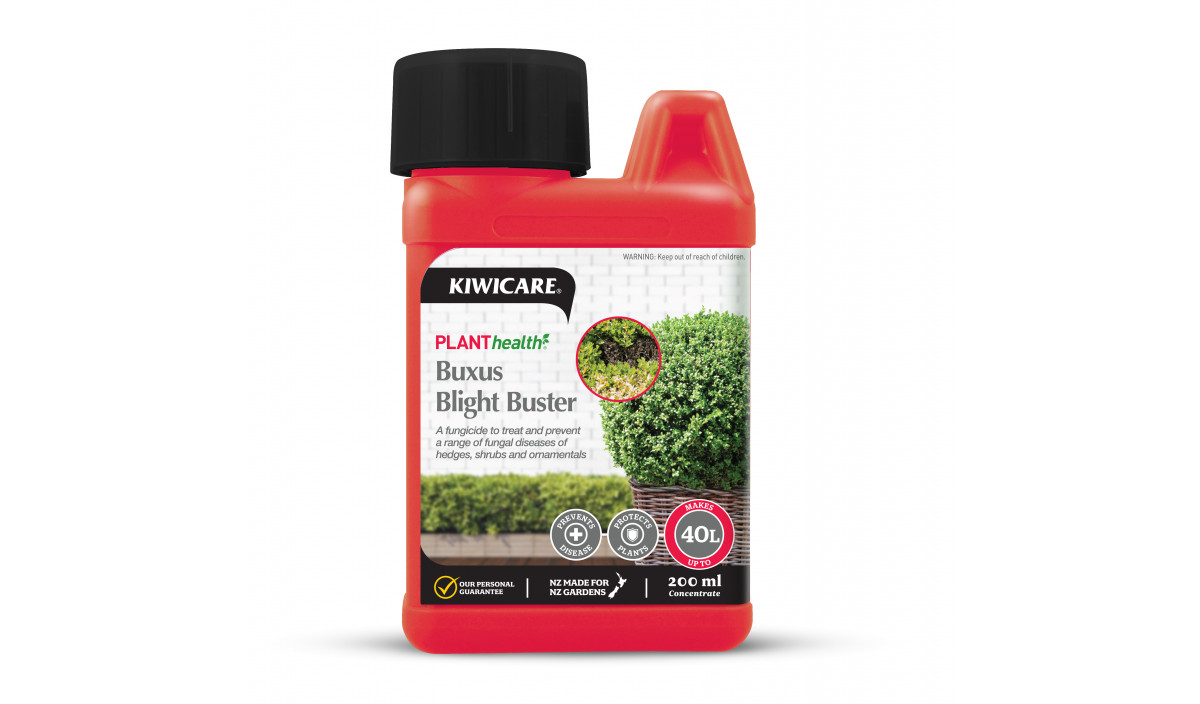 Plant Health Buxus Blight Buster Thiram Fungicide | Kiwicare