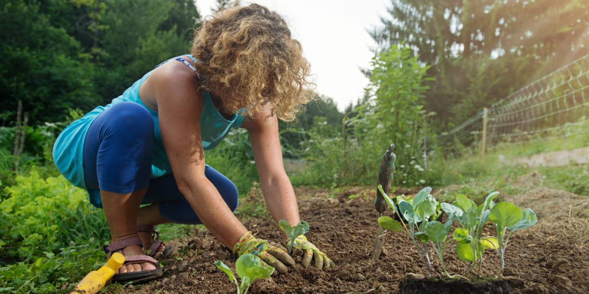 What are the Beneficials in your Garden? | Kiwicare