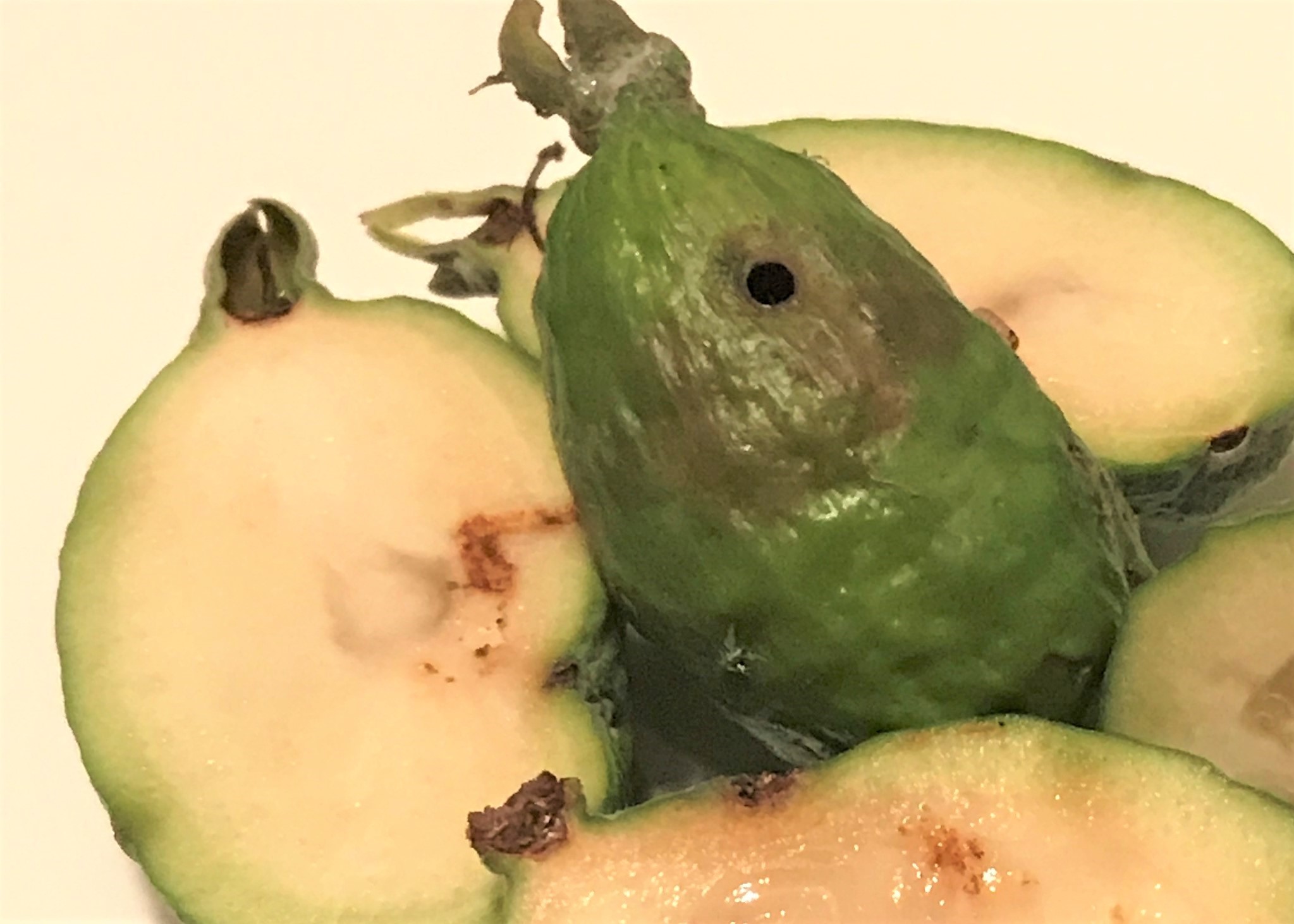 Guava Moth Caterpillar - Protect Fruit | Kiwicare