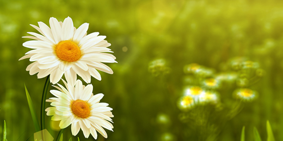 Difference between Pyrethrum, Pyrethrin and Pyrethroid | Kiwicare