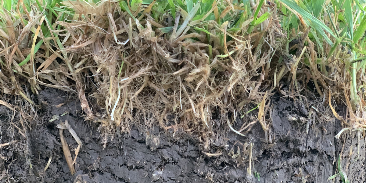 Lawn Thatch - Good or Bad? | Kiwicare