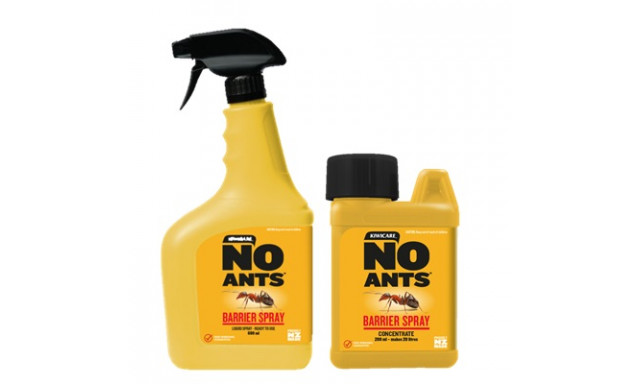 Ant Control Products | Get Rid of Ants - Kiwicare | Kiwicare