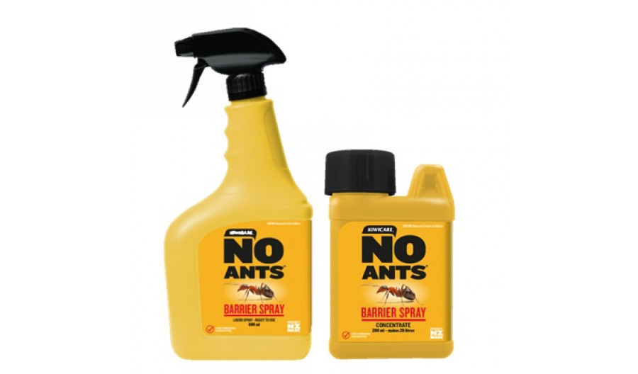 NO Ants Barrier Spray - Long Lasting Spray for Ants | Kiwicare