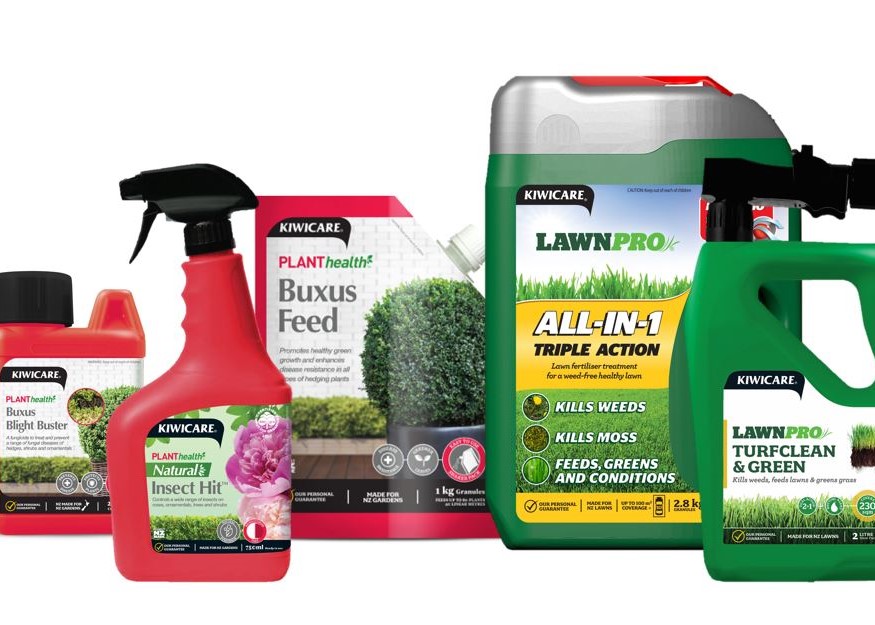 What are Active Ingredients? | Kiwicare