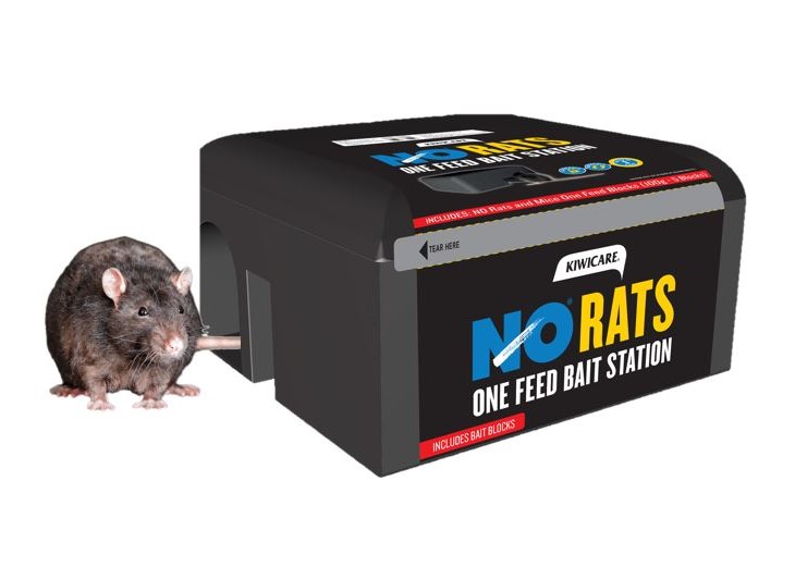 Rodents - Shy or Bold | Kiwicare