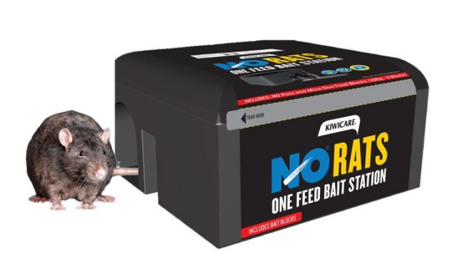 Advice - Video on How to Identfy Rats and Mice | Kiwicare