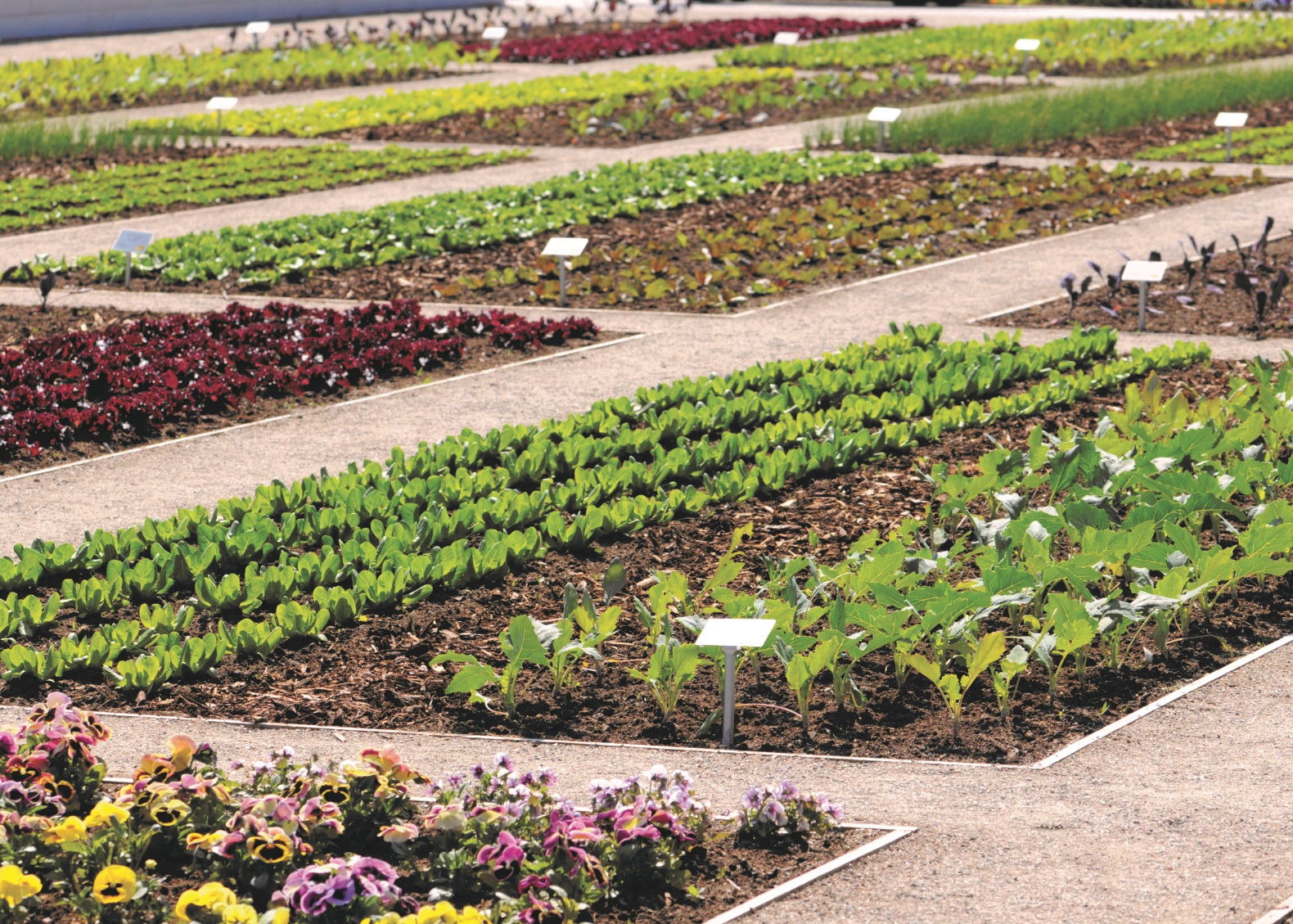 Learn About Different Soil Types | Kiwicare
