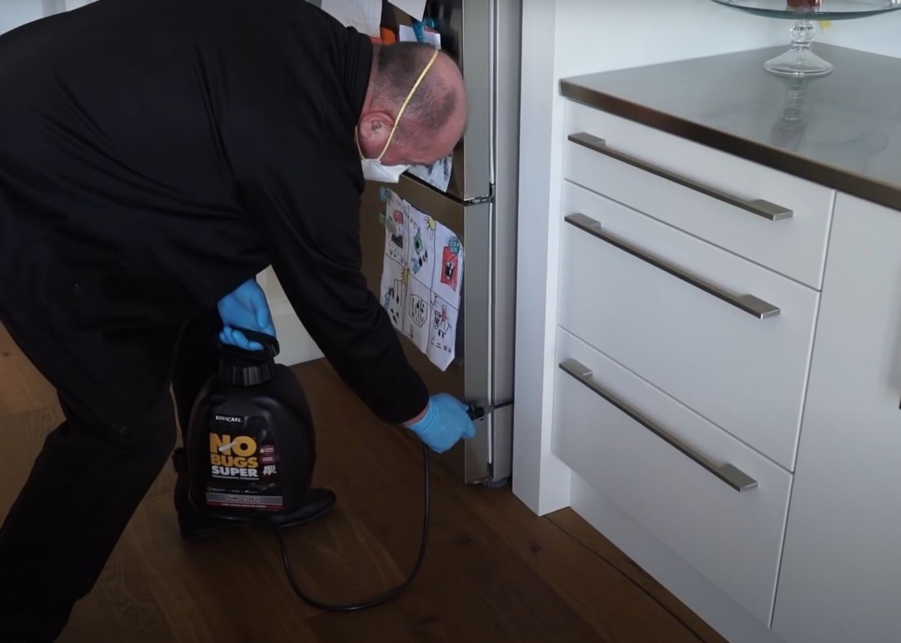 How to Use Surface Spray Insecticides | Kiwicare