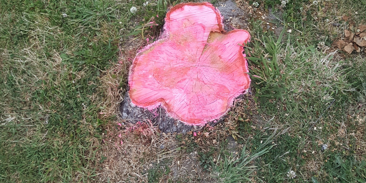 How to Kill a Tree Stump and Stop it Re-Sprouting | Kiwicare