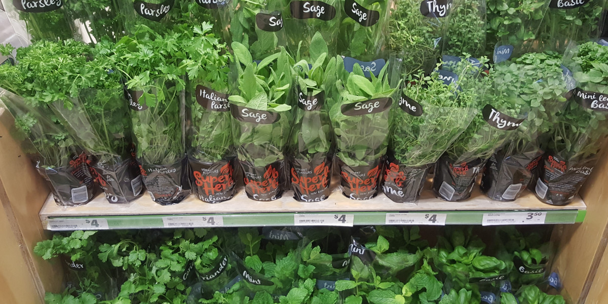 How to Keep Your Supermarket Herbs Growing Longer | Kiwicare