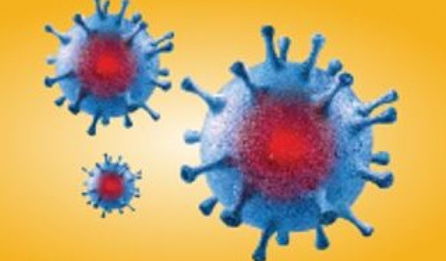 How to Get Rid of Viral Contamination | Kiwicare