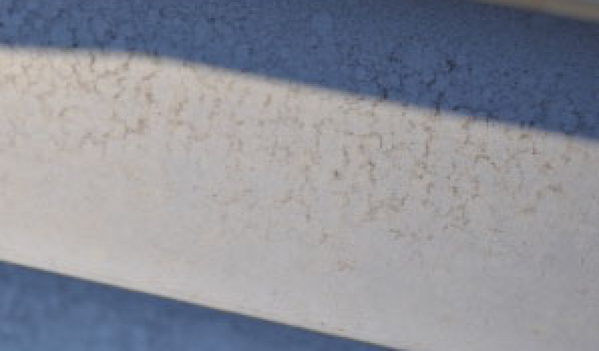 Dust - Cleaning of Dust from Outdoor Surfaces. | Kiwicare