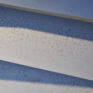 Advice on Non-Biological Marks Outdoors | Kiwicare