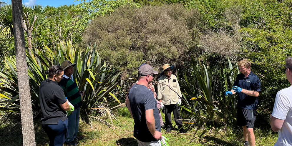 Protecting New Zealand's Biodiversity: Kiwicare's March Mission | Kiwicare