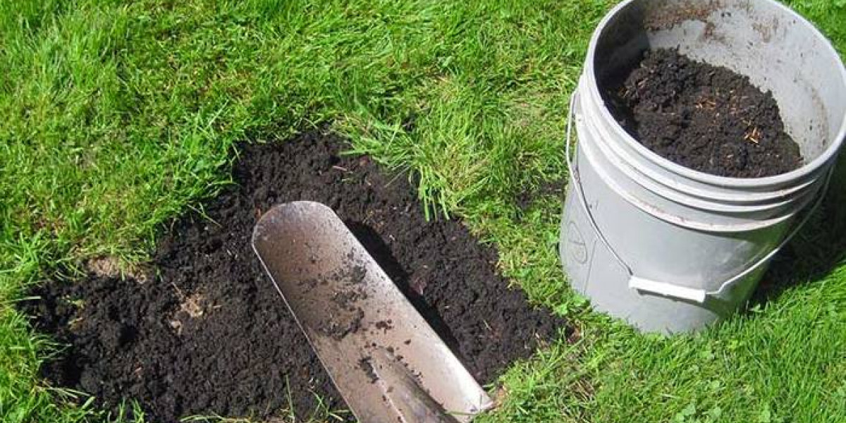 Advice - How to Repair Bare Patches in Lawns | Kiwicare