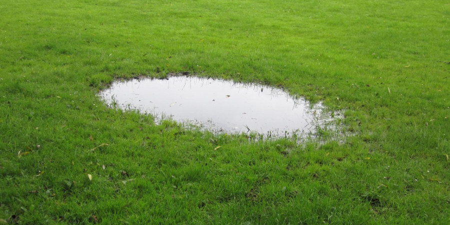 Advice - What to do about lawn puddles | Kiwicare