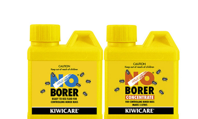 How to Get Rid of Borer in Furniture | Kiwicare