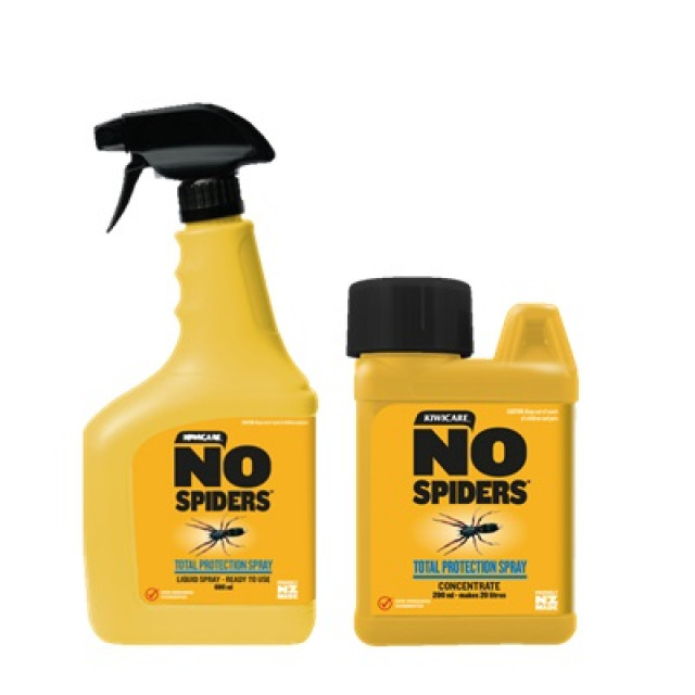 White Tail Spiders - Control of Whitetail Spiders | Kiwicare