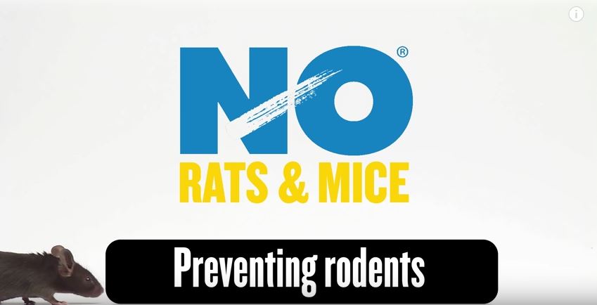 Advice - Video on How to Prevent Rodents Getting In | Kiwicare