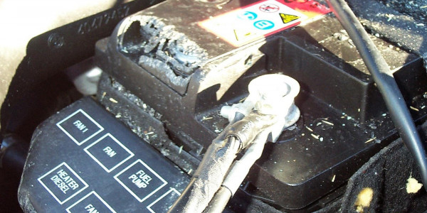 Advice - About Rodent Damage to Cars | Kiwicare