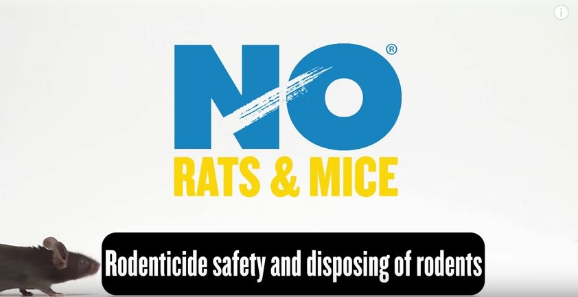Advice - Video on How to be Safe with Rodenticides | Kiwicare
