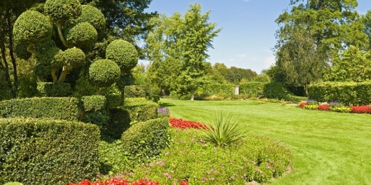 Advice - How to Care for Shrubs. | Kiwicare