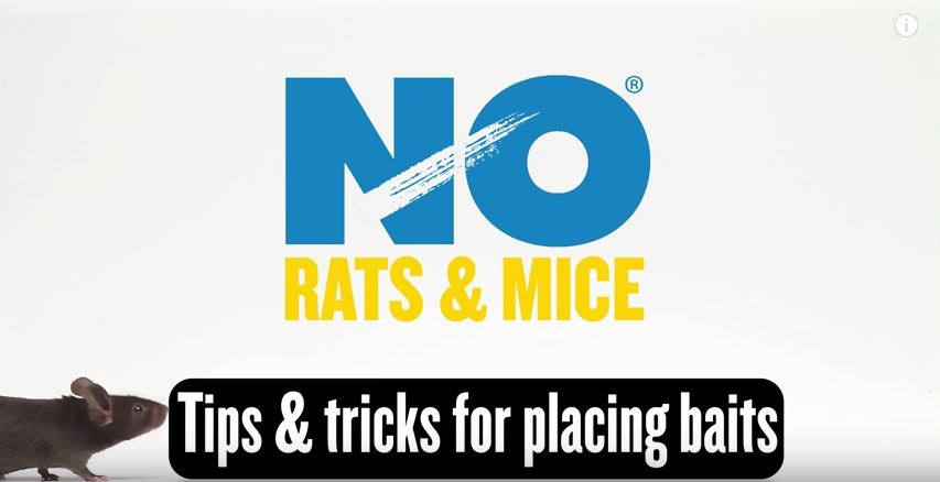 Advice - Video Tips n Tricks for Getting Rid of Rodents | Kiwicare
