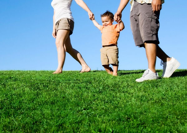 Advice - When to Sow Grass Seed | Kiwicare